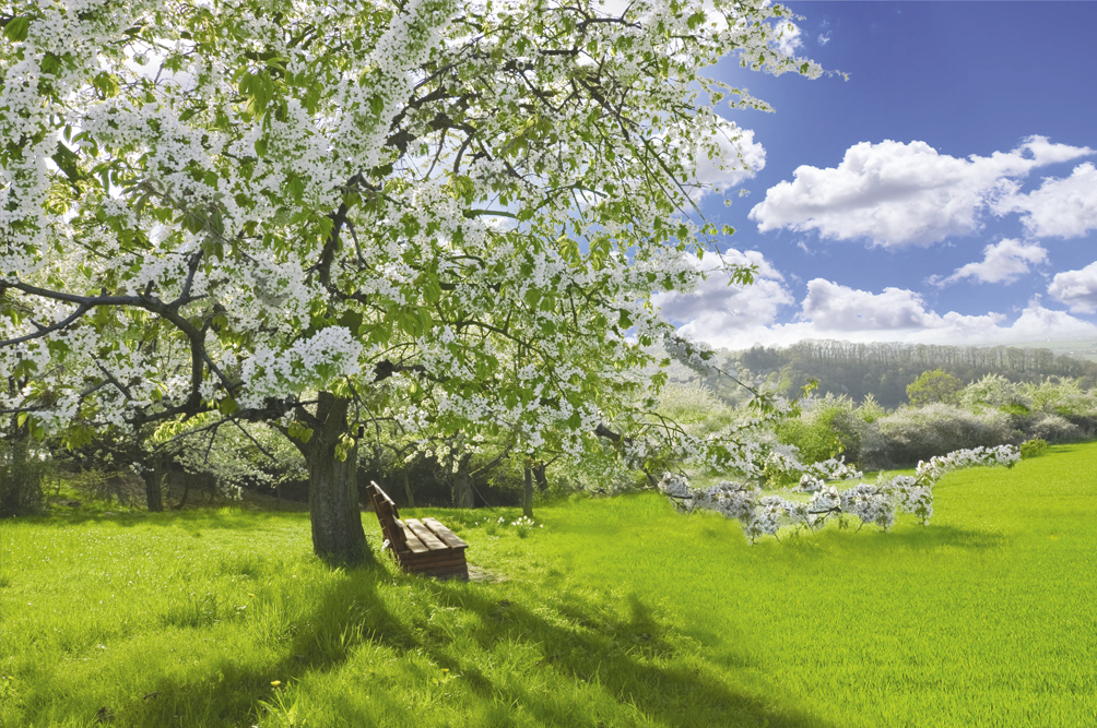 Terminarz Ścienny 2024^ | Sklep Wysocki.com.pl